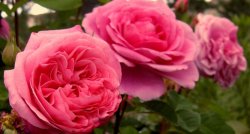 Ceļojumi pa Latviju – piedāvājumi - CeļojumuBode.lv