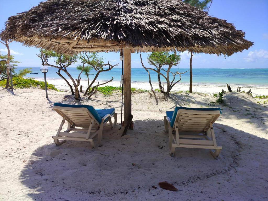 Zanzibāra no Varšavas, KILIMANI KWETU BEACH HOTEL 3★ - CeļojumuBode.lv